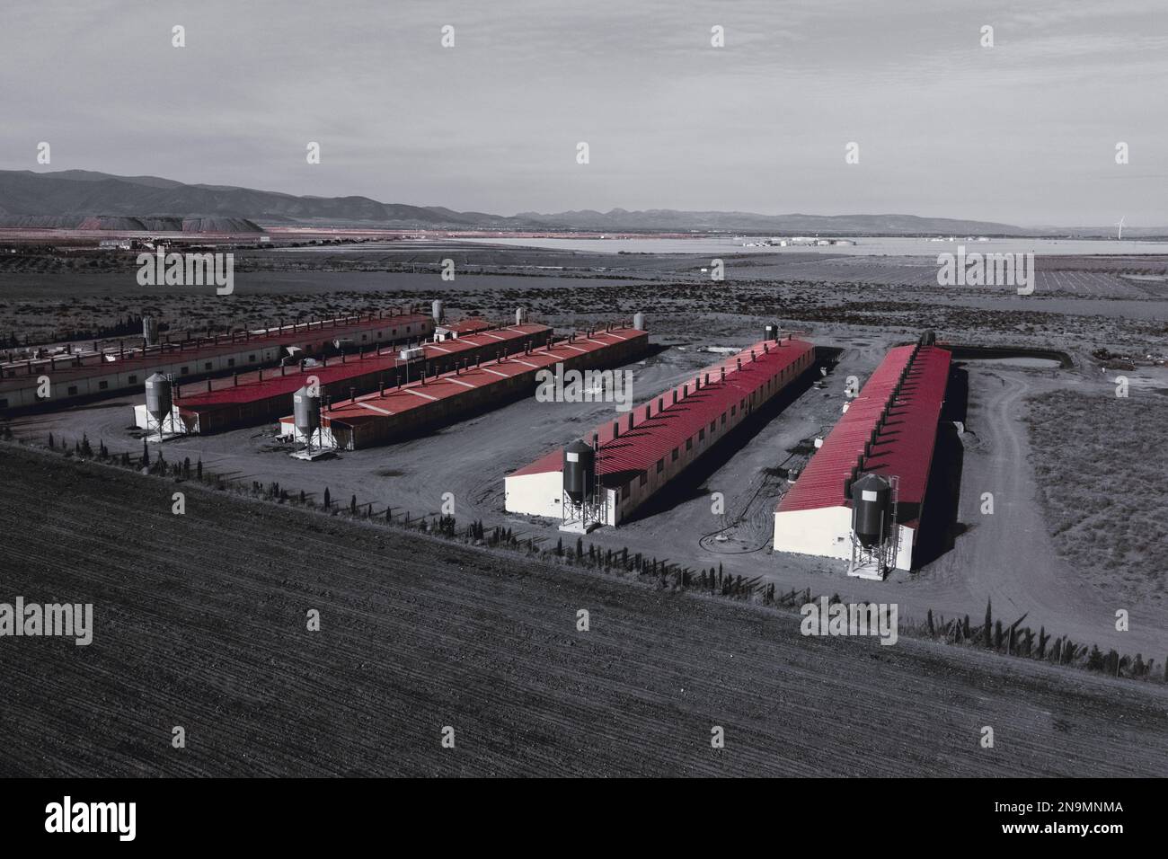 Aerial view modern pig farm hi-res stock photography and images - Alamy