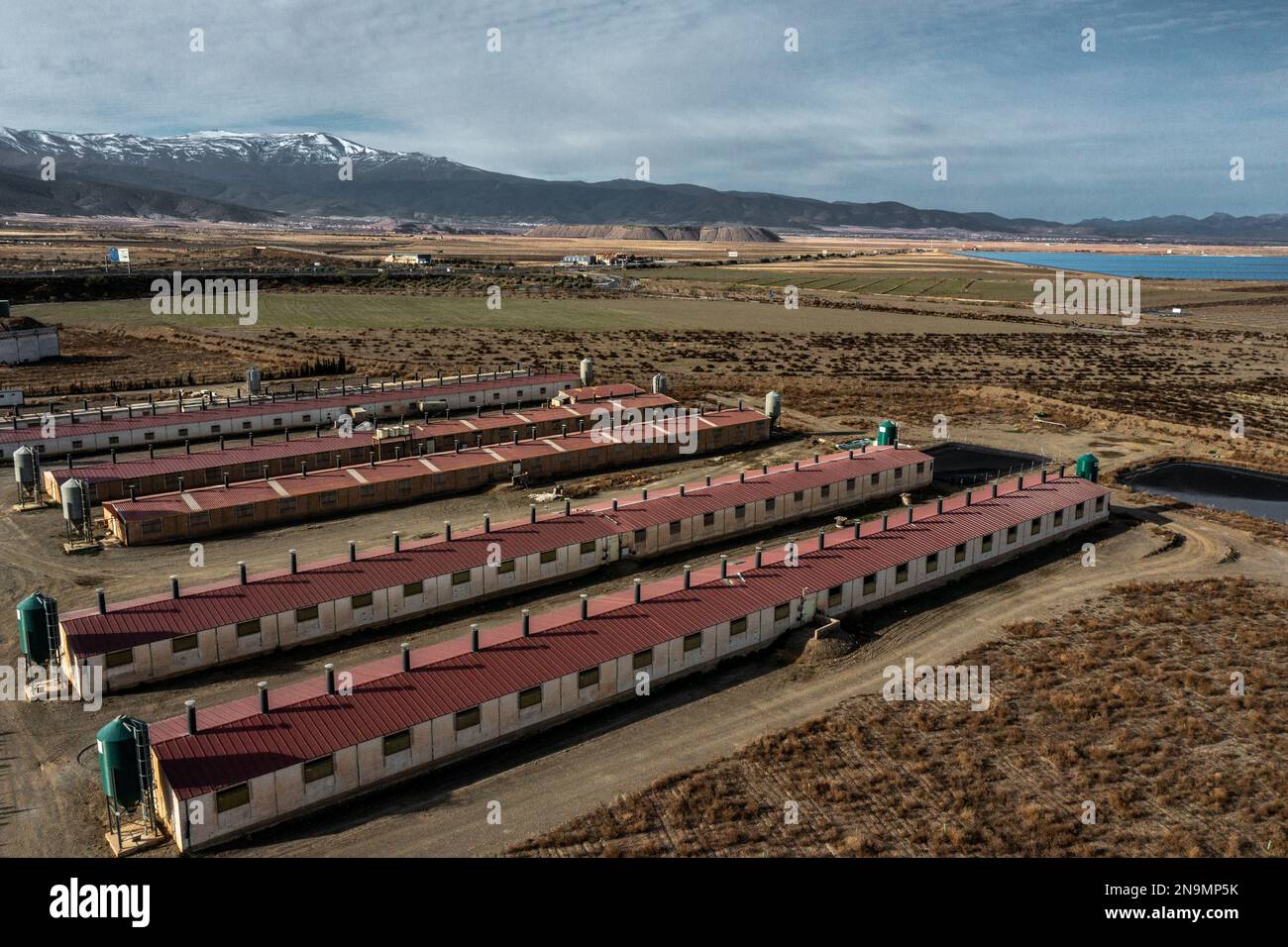 aerial view of piggery farm houses in Andalusia Spain Stock Photo - Alamy