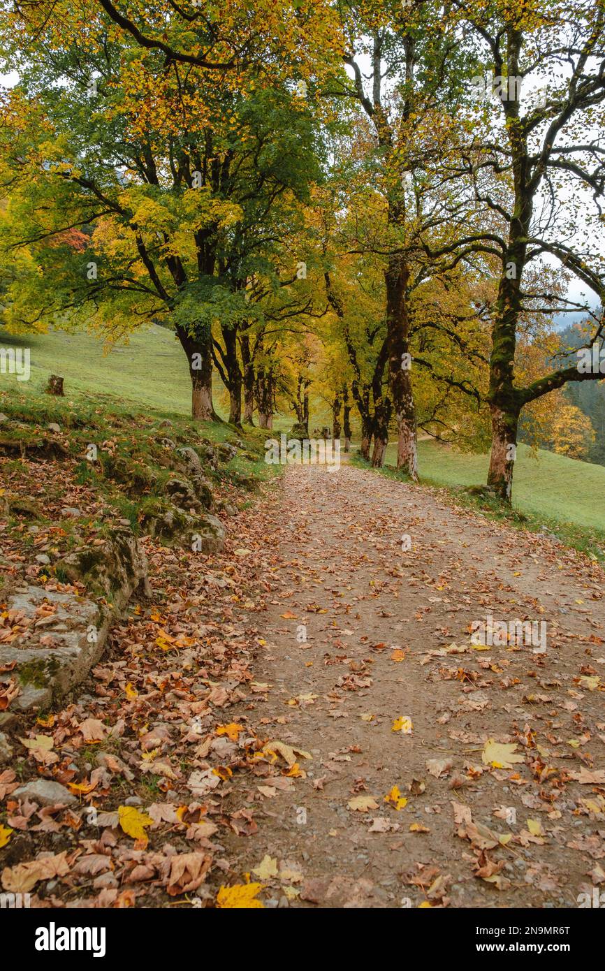 Allgau autumn hi-res stock photography and images - Alamy