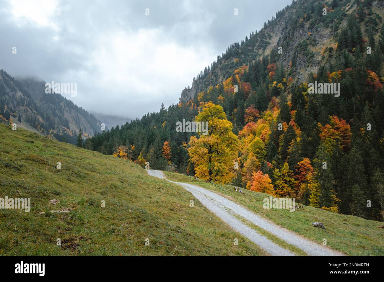Allgau autumn hi-res stock photography and images - Alamy