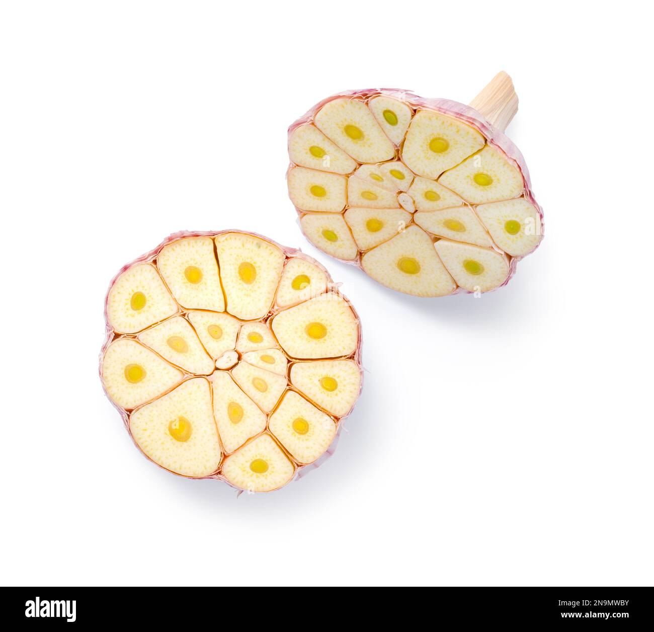 Two half of garlic isolated. Fresh garlic on white background Stock ...
