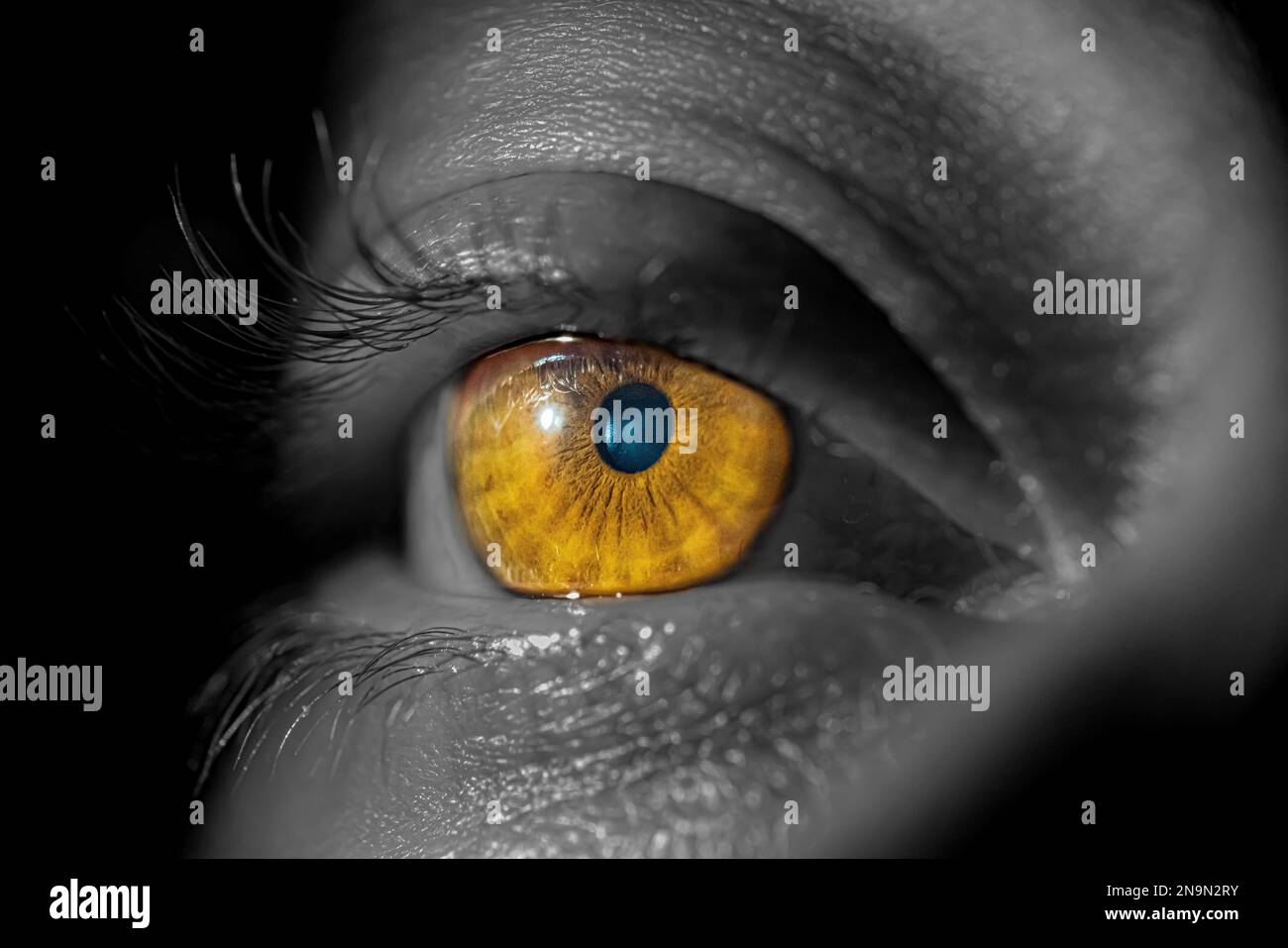 Detail of a human brown amber eye, visible iris, woman, colours, flash ...