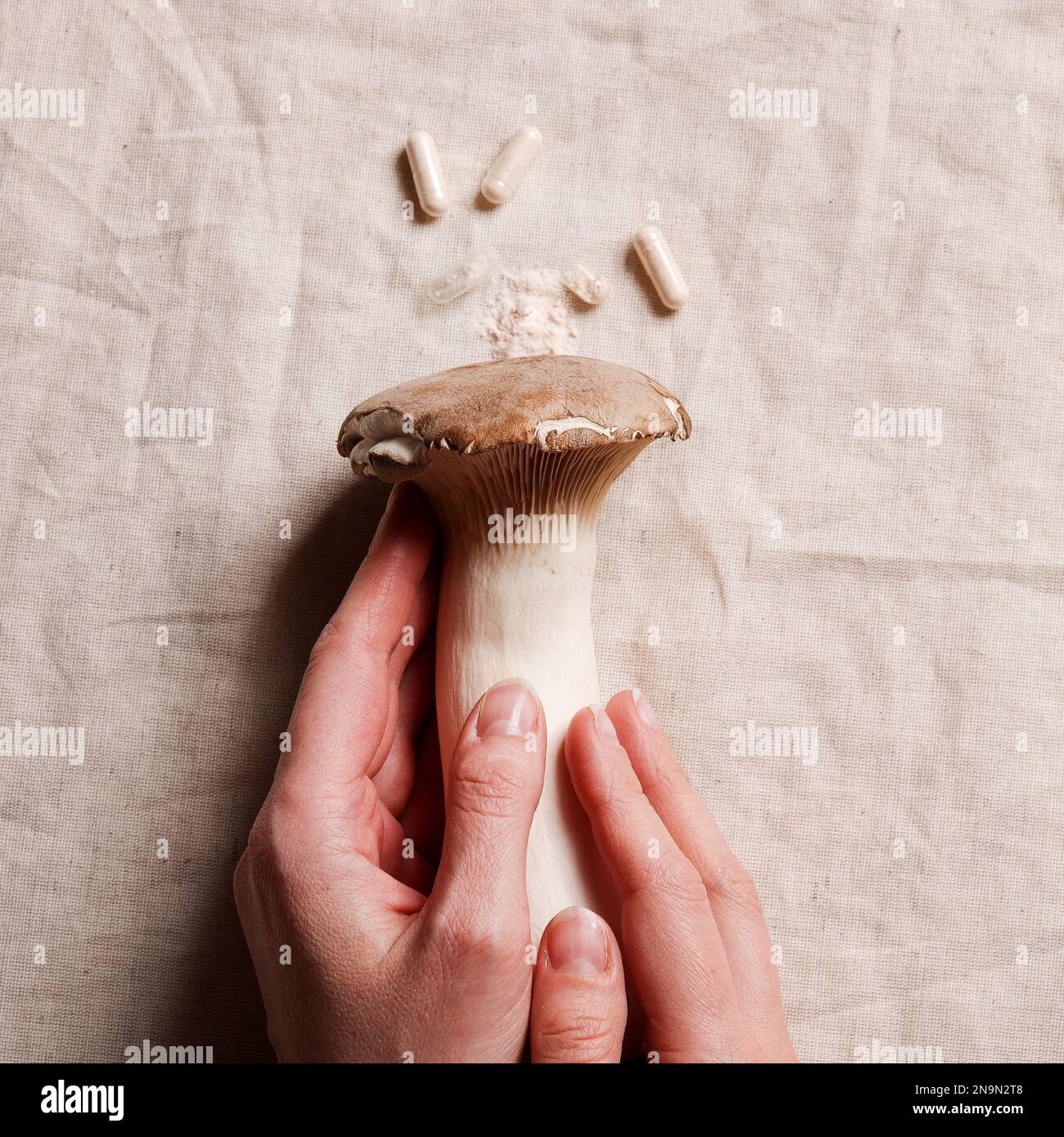 hands with mushrooms and natural herbal pills on textile gray ...