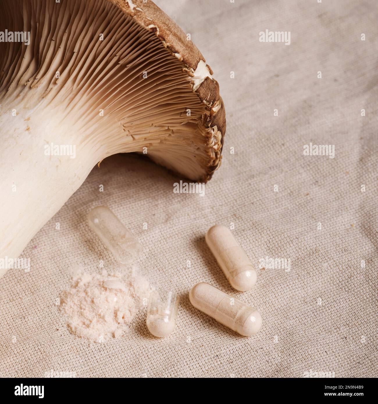 mushrooms and natural herbal pills on textile gray background ...