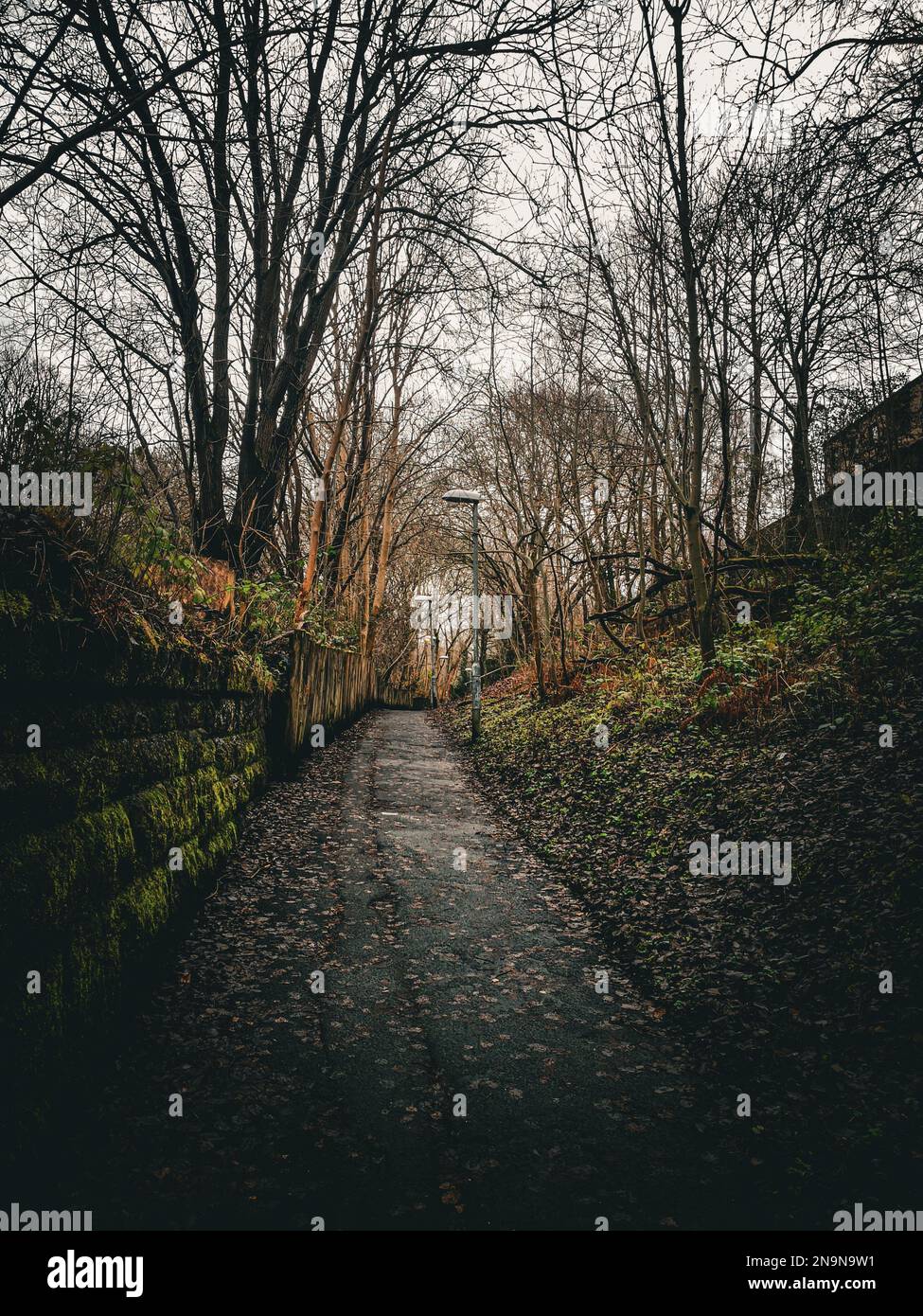 A vertical shot of a beautiful narrow path, with a view of autumn ...