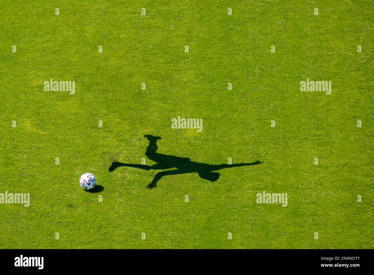 Shadow of soccer player with soccer ball on green grass Stock Photo - Alamy