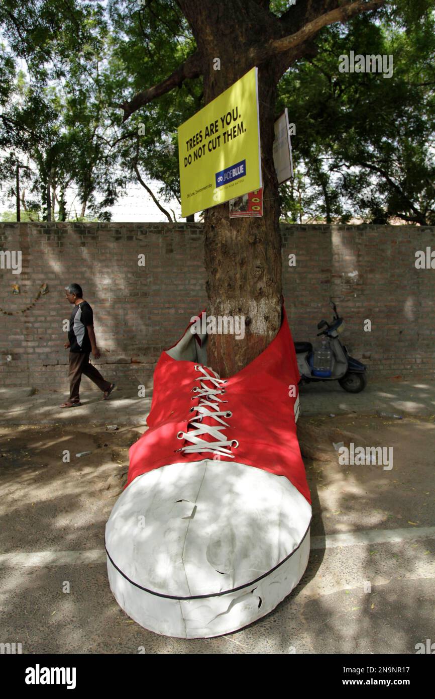 A roadside tree is adorned with a huge shoe to campaign World ...