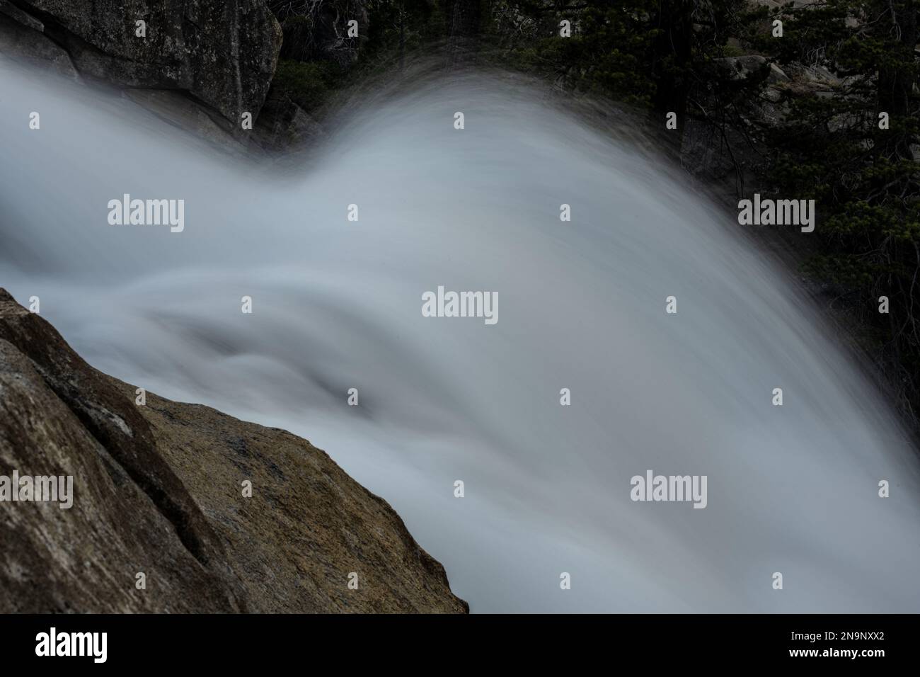 Rooster tail hi-res stock photography and images - Alamy