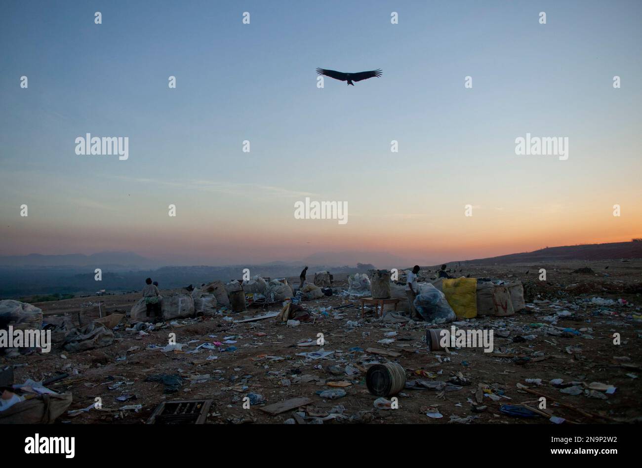 In this May 29, 2012 photo, a vulture flies over Jardim Gramacho, one ...