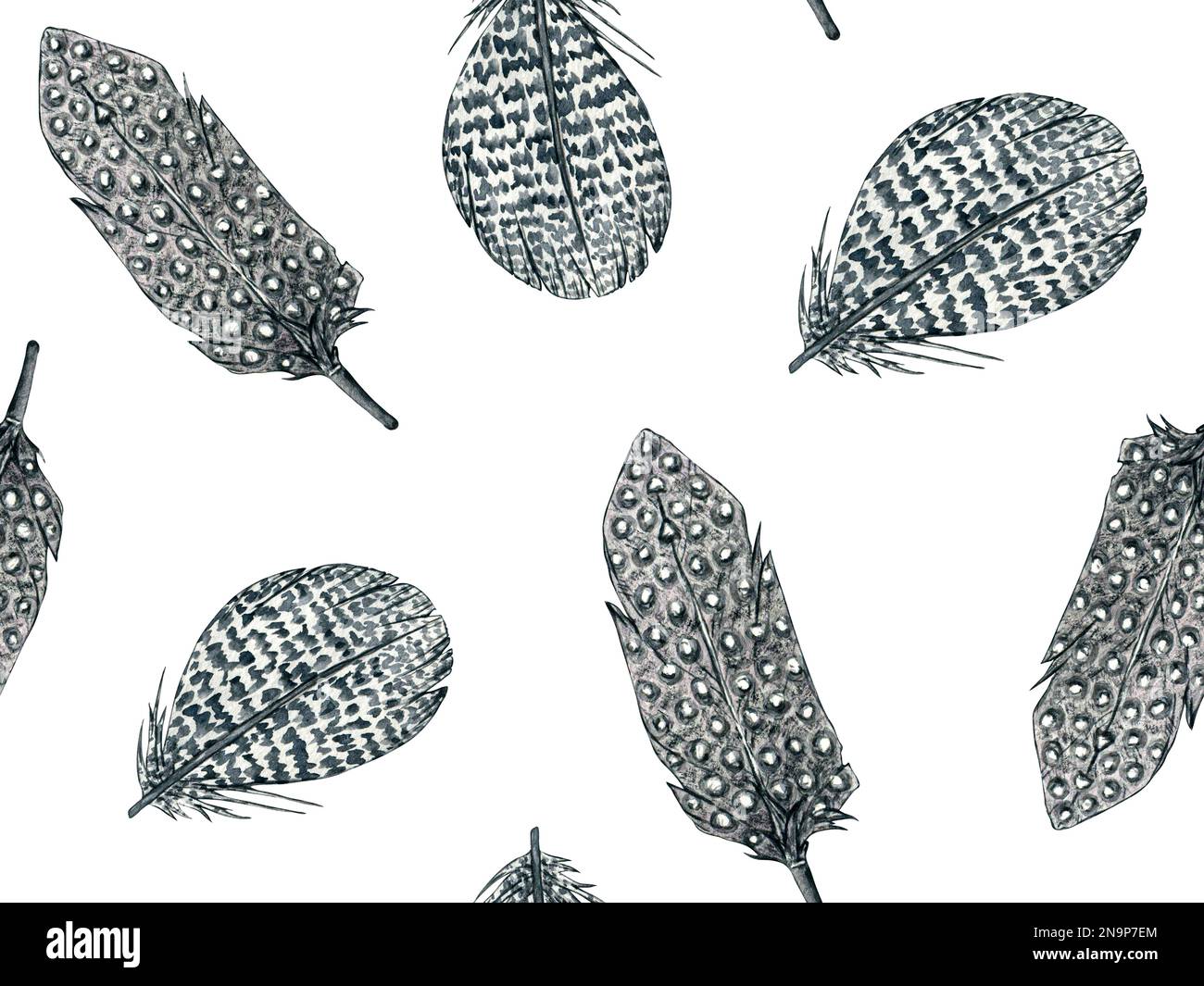 Seamless pattern. Watercolor feathers isolated on white background for ...