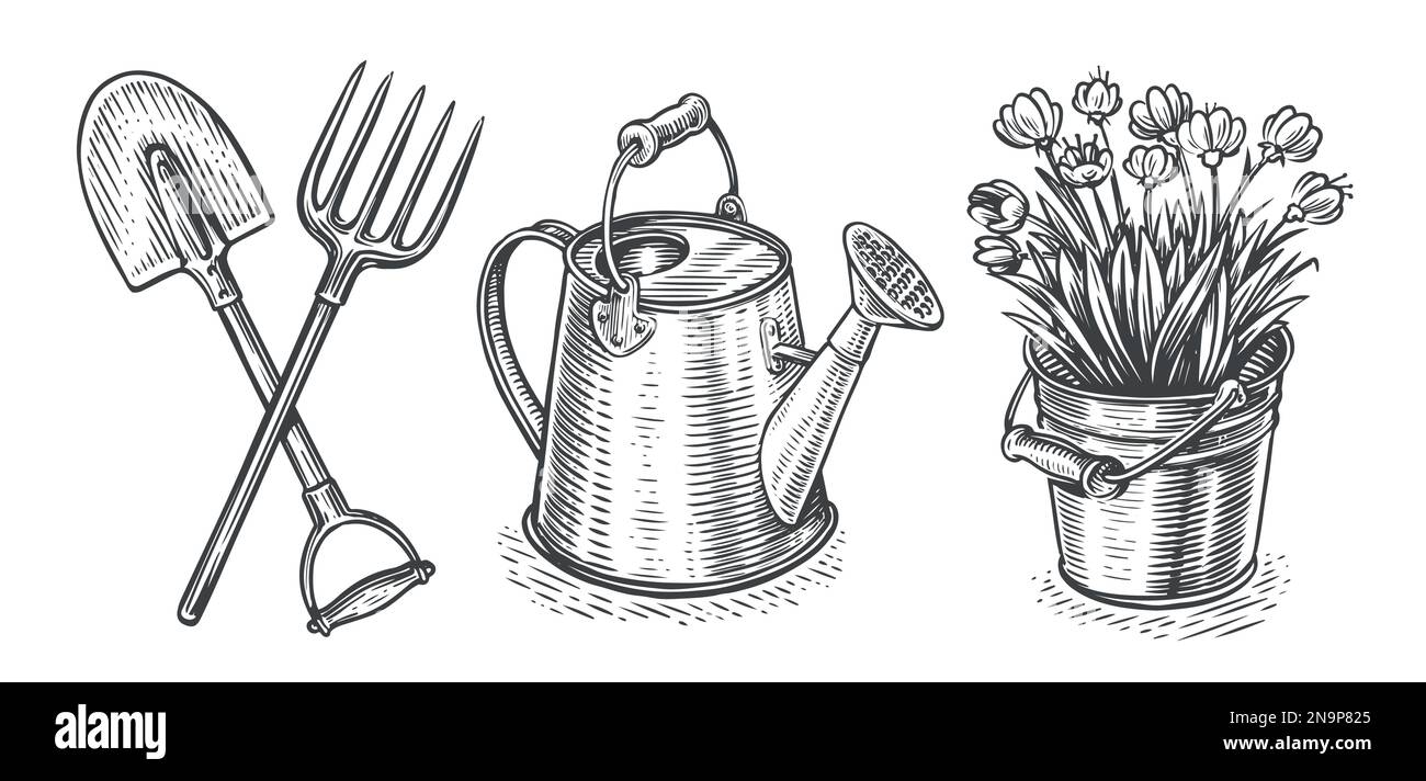 Garden, farm concept. Gardening set of items sketch. Agriculture ...