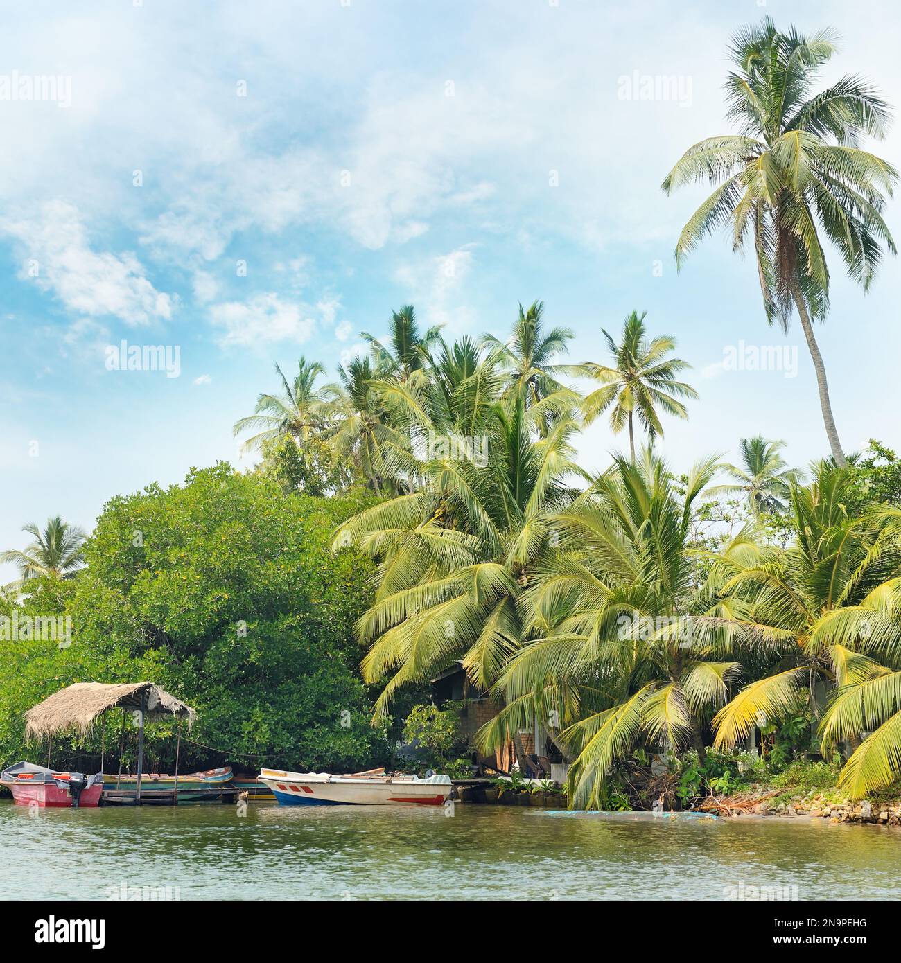 Equatorial rainforest hi-res stock photography and images - Alamy