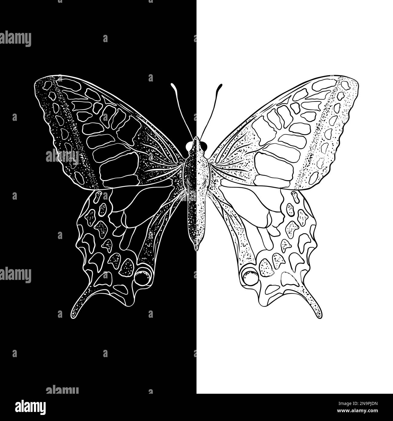 Hand drawn butterfly Stock Vector Image & Art - Alamy