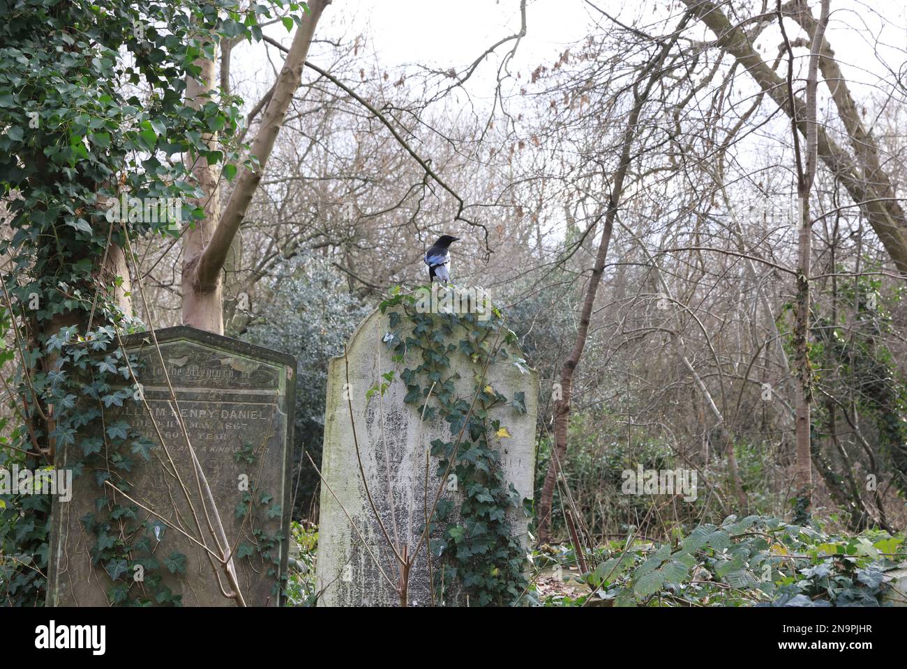 Tower hamlets cemetery park hi-res stock photography and images - Alamy