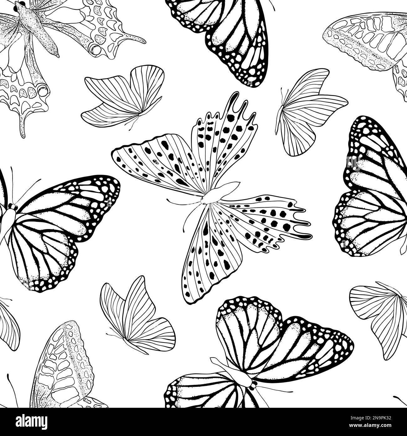 Insect moth seamless Black and White Stock Photos & Images - Alamy