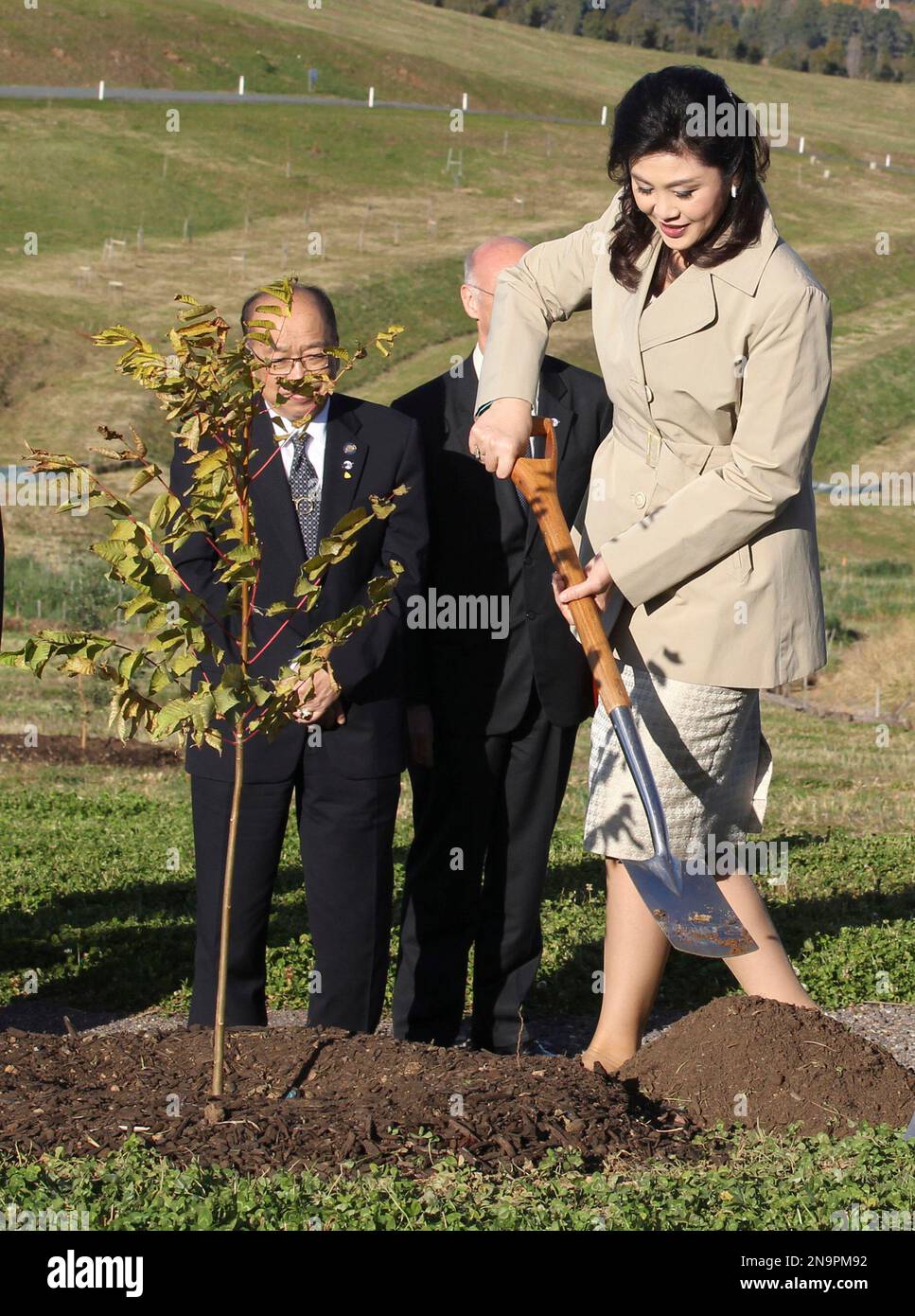 Thailand's Prime Minister Yingluck Shinawatra plants a Toonas sinensis ...