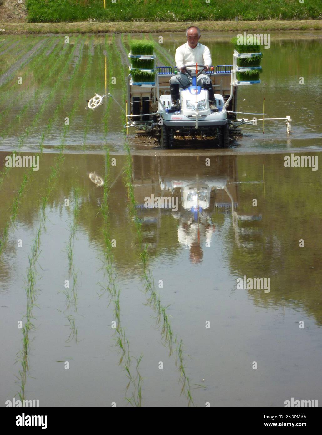 In this May 21, 2012 photo, Toraaki Ogata drives a tractor to plant rice seedlings in a paddy ...