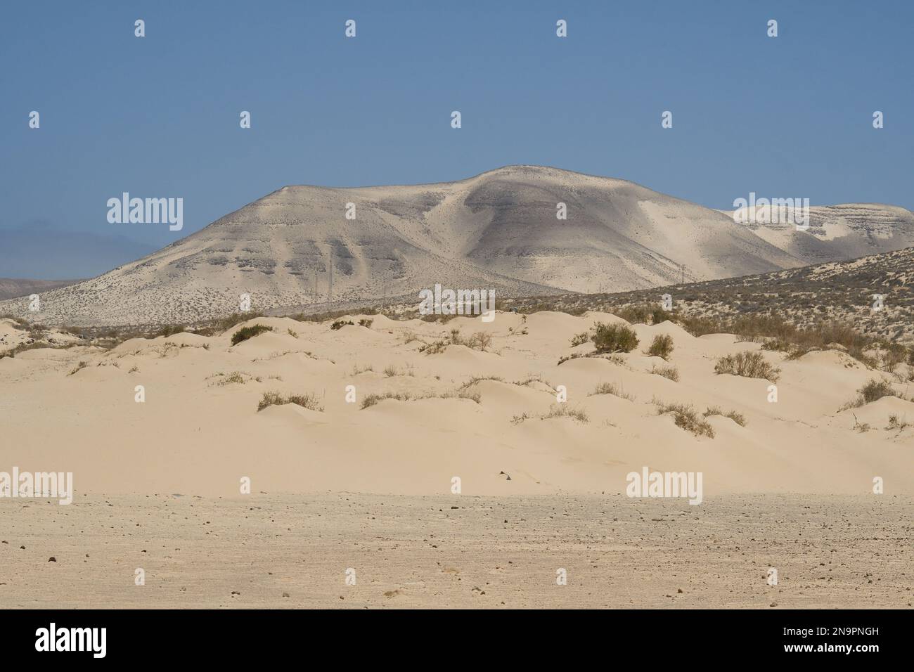 Sand dunes at playa de sotavento de jandia hi-res stock photography and ...
