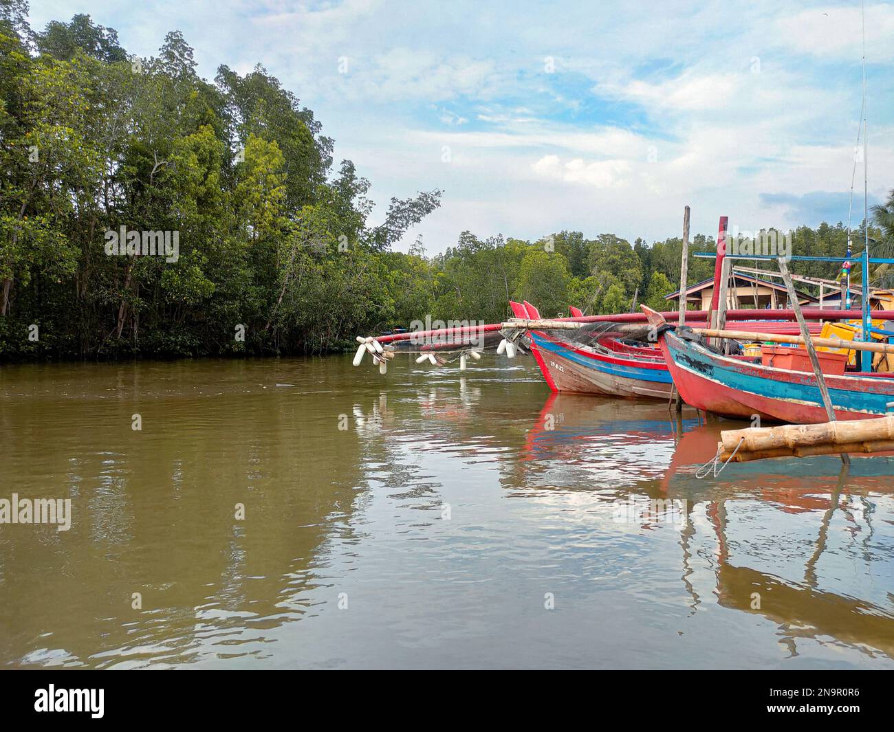 A mangrove swamp forest in a fishing boat jetty area in a fishing ...