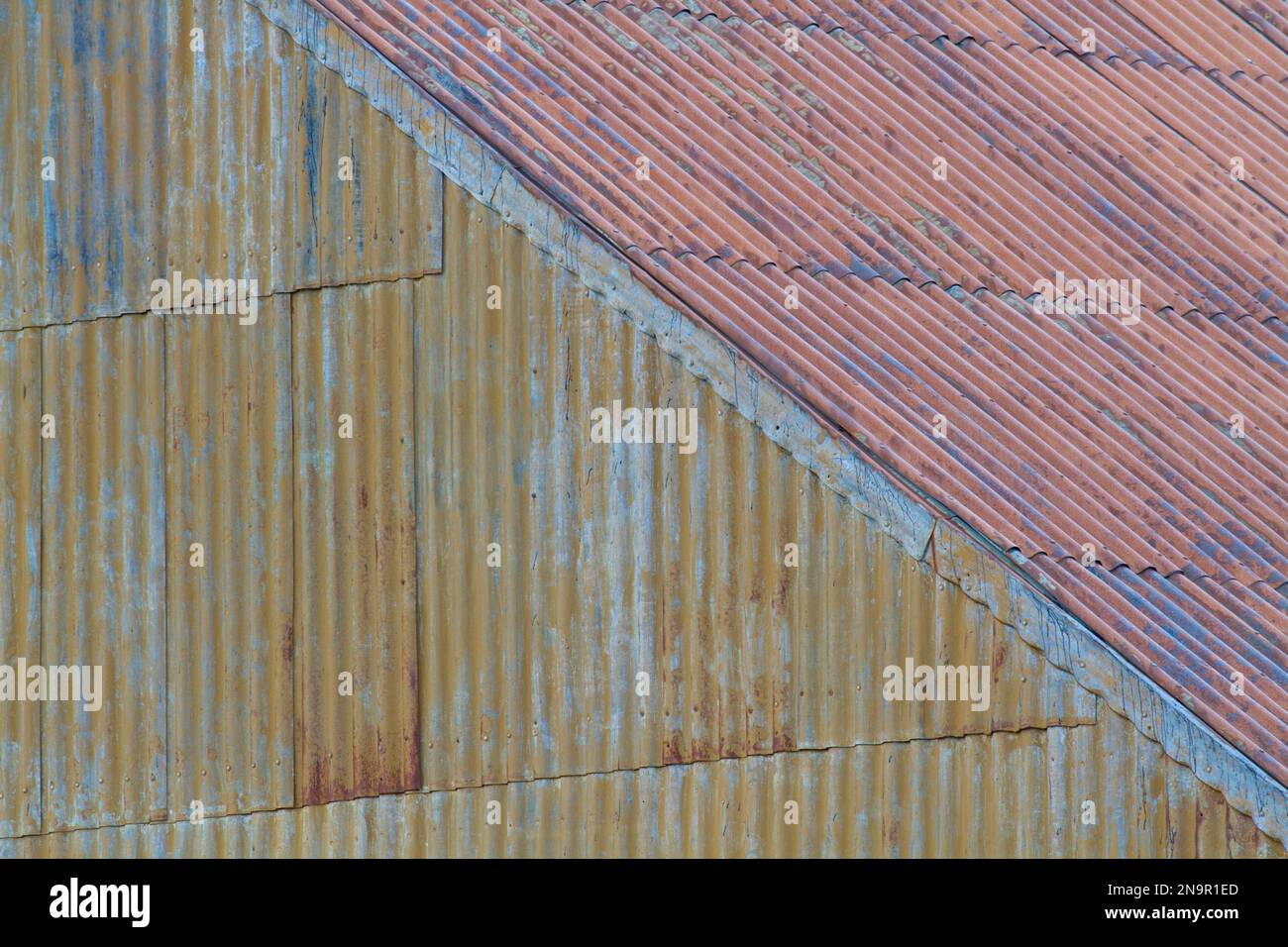 Rusty corrugated metal building at the abandoned Stromness whaling ...