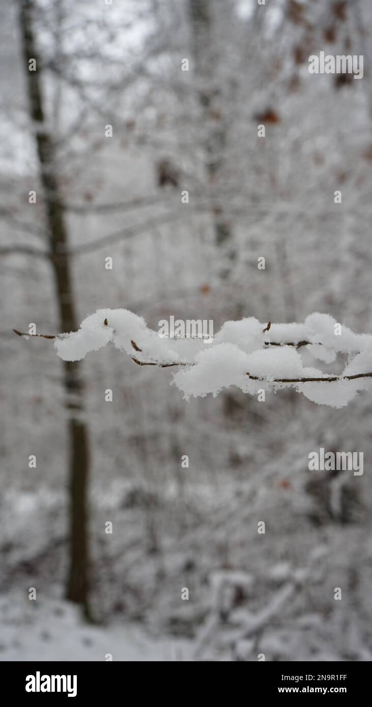 Snow stick hi-res stock photography and images - Alamy
