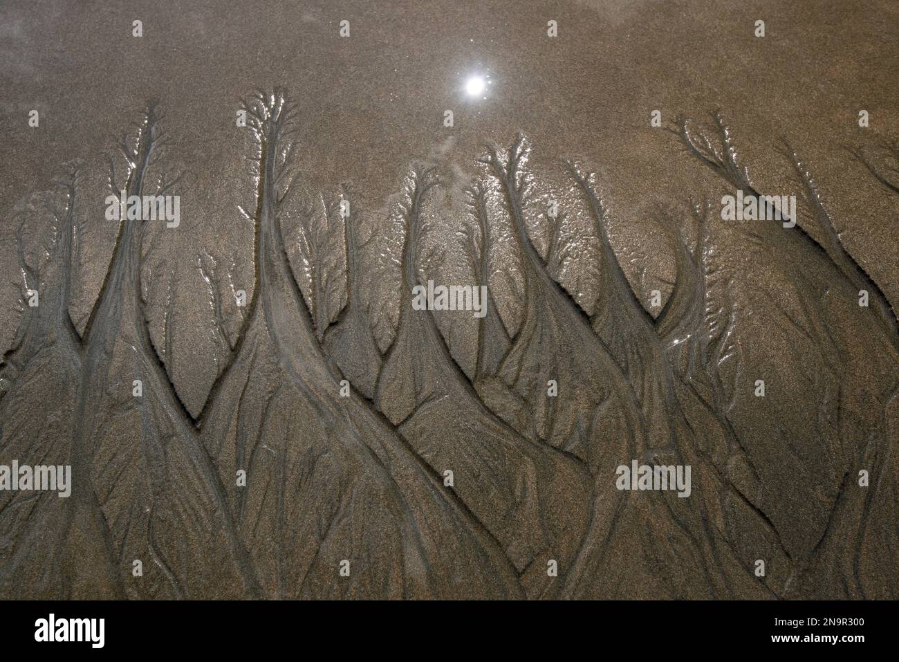 Sun reflecting off the beach and patterns in the sand in Caletas ...
