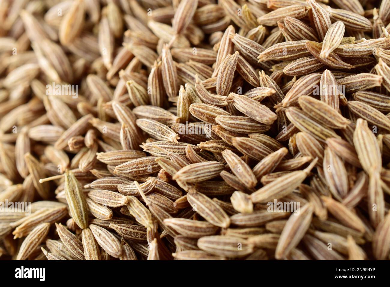 Caraway seed spice hi-res stock photography and images - Alamy