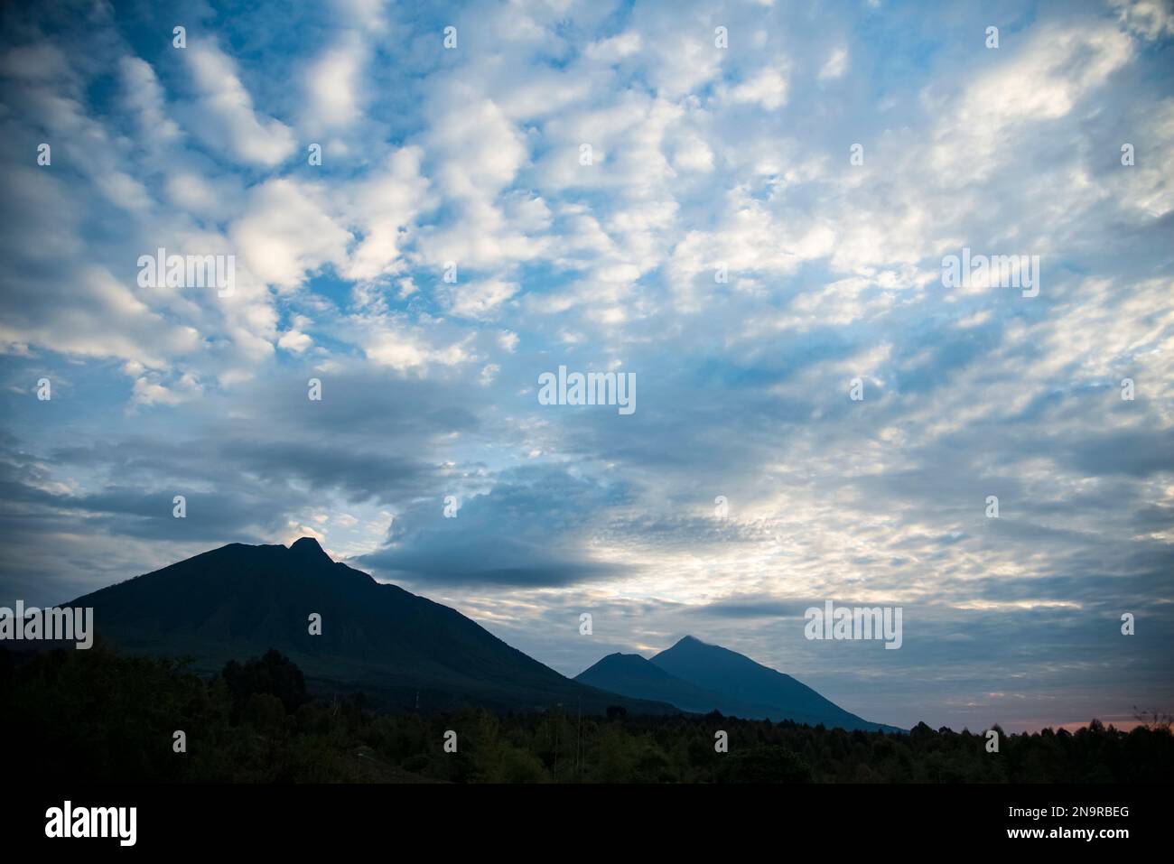 Three volcanoes in the distance at Volcanoes National Park in Rwanda ...