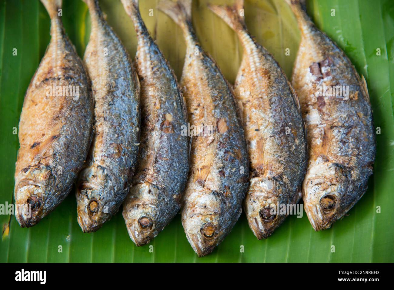 Silver laos fish hi-res stock photography and images - Alamy