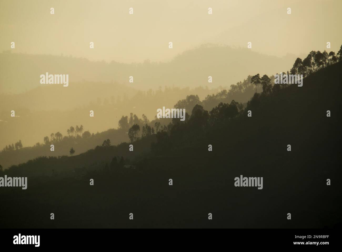 Silhouetted mountain ridges and jungle at sunset; Rwanda Stock Photo ...