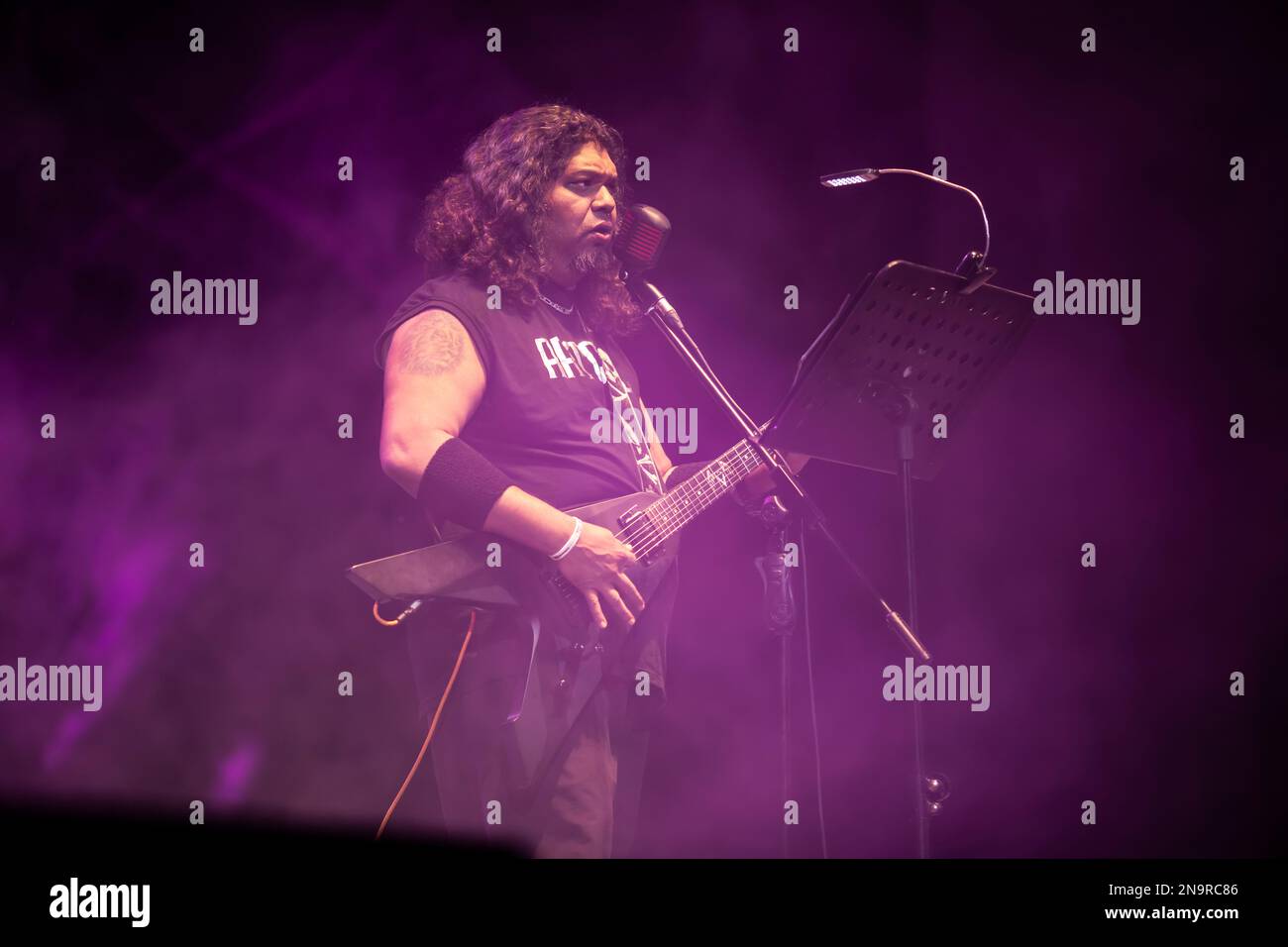 Artcell hi-res stock photography and images - Alamy