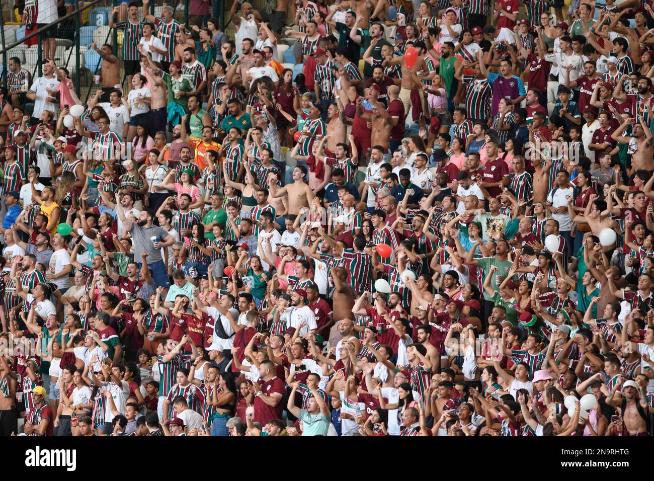Rio De Janeiro, Brazil. 12th Feb, 2023. Tricolor crowd during ...