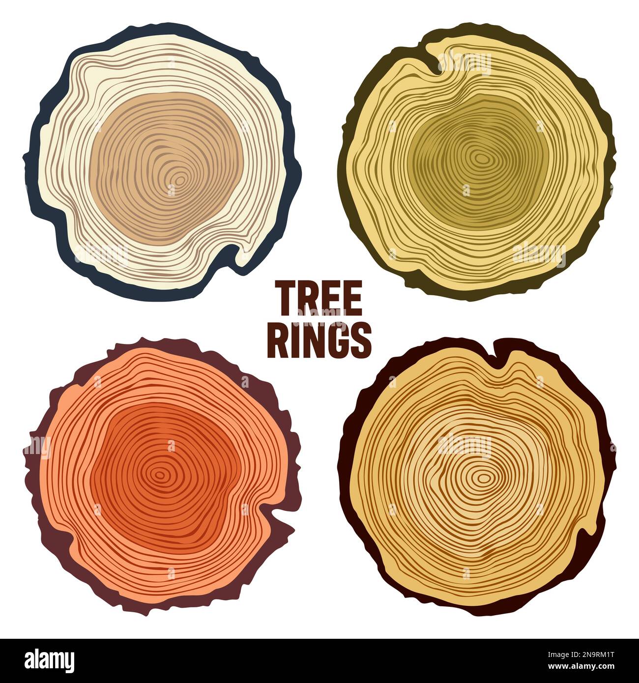 Round colorful tree trunk cuts, sawn pine or oak slices, lumber. Saw ...