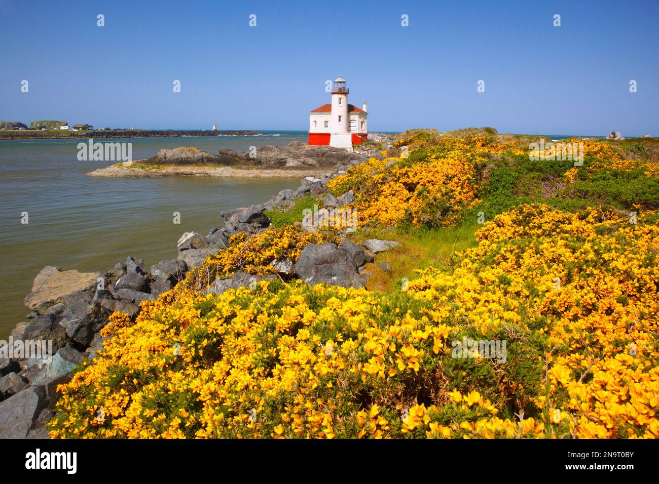 Coquille River Light against a blue sky with blossoming yellow foliage ...