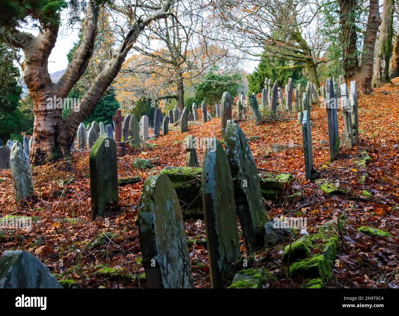 The graves in an Abandoned cemetery in Mountain Ash, South Wales Stock ...