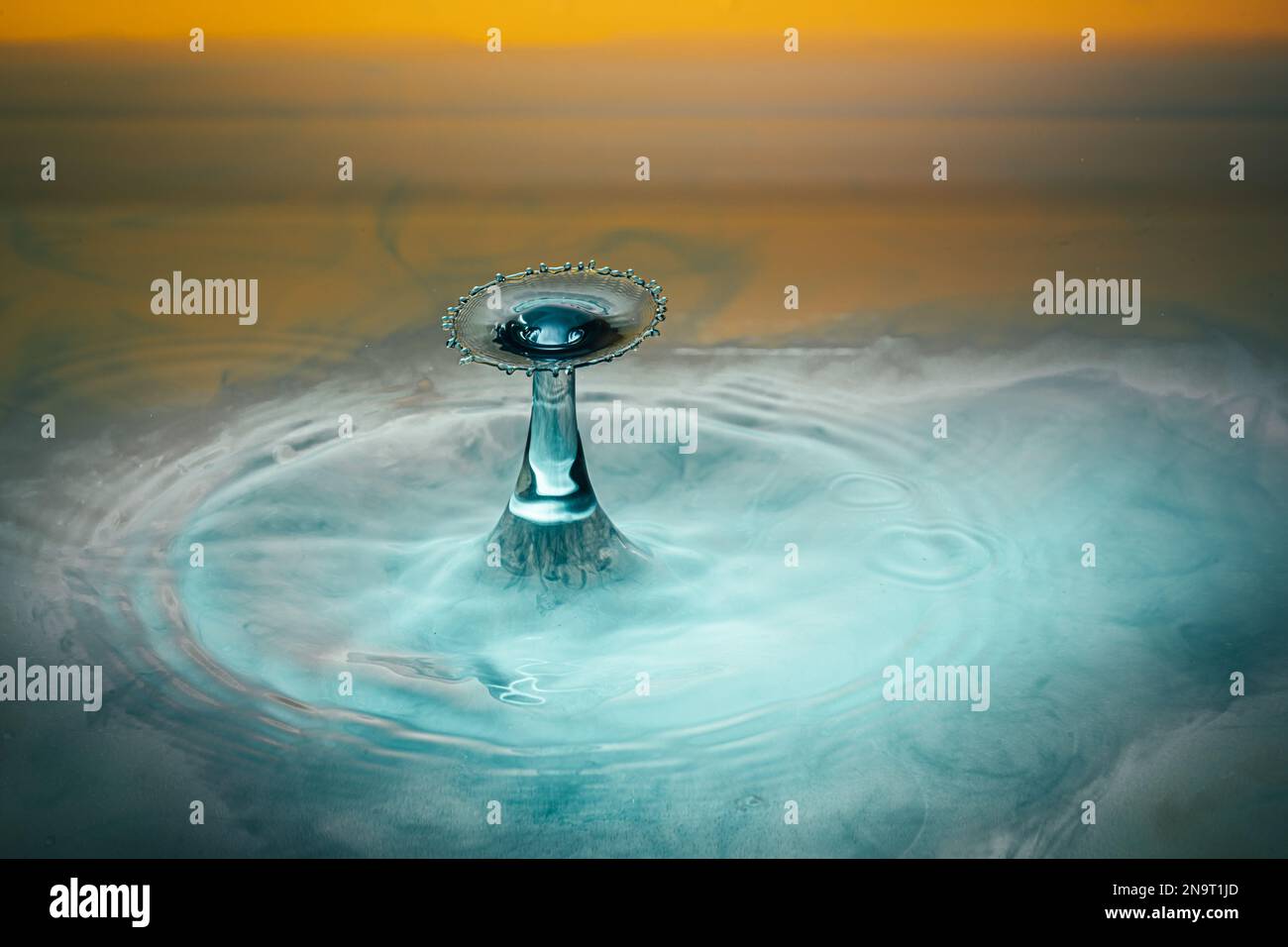 Macro photography water drops photographed with Pluto trigger Stock ...