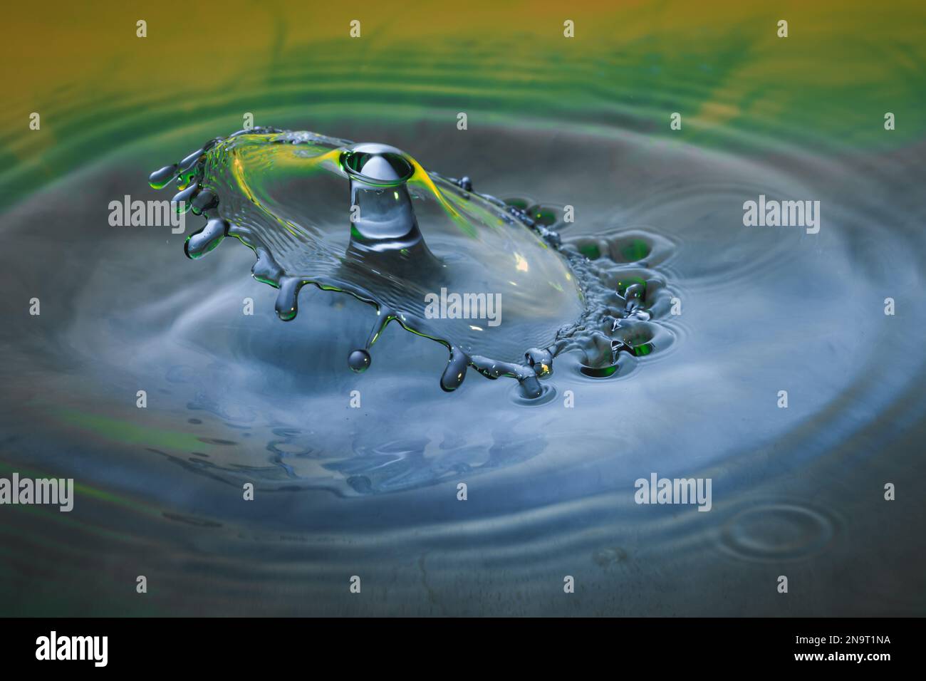Macro photography water drops photographed with Pluto trigger Stock Photo - Alamy
