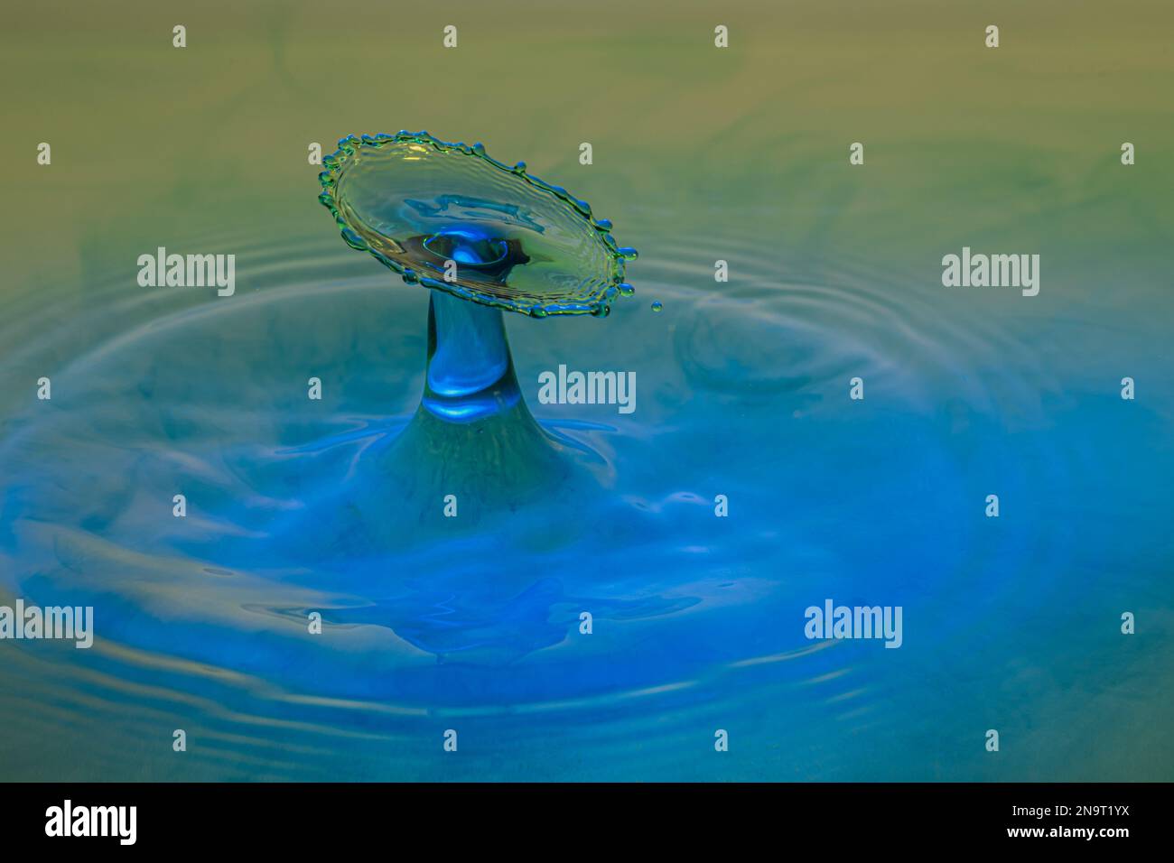 Macro photography water drops photographed with Pluto trigger Stock ...