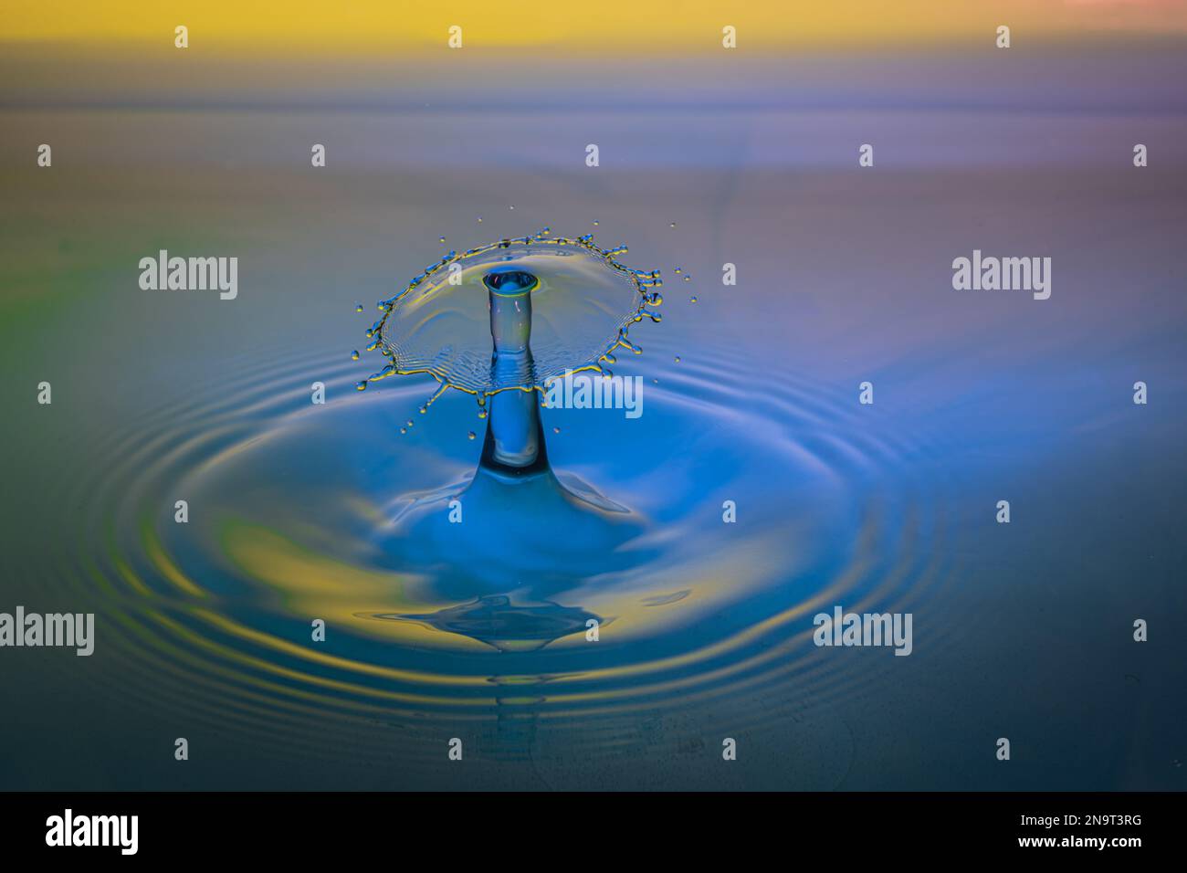 Macro photography water drops photographed with Pluto trigger Stock ...