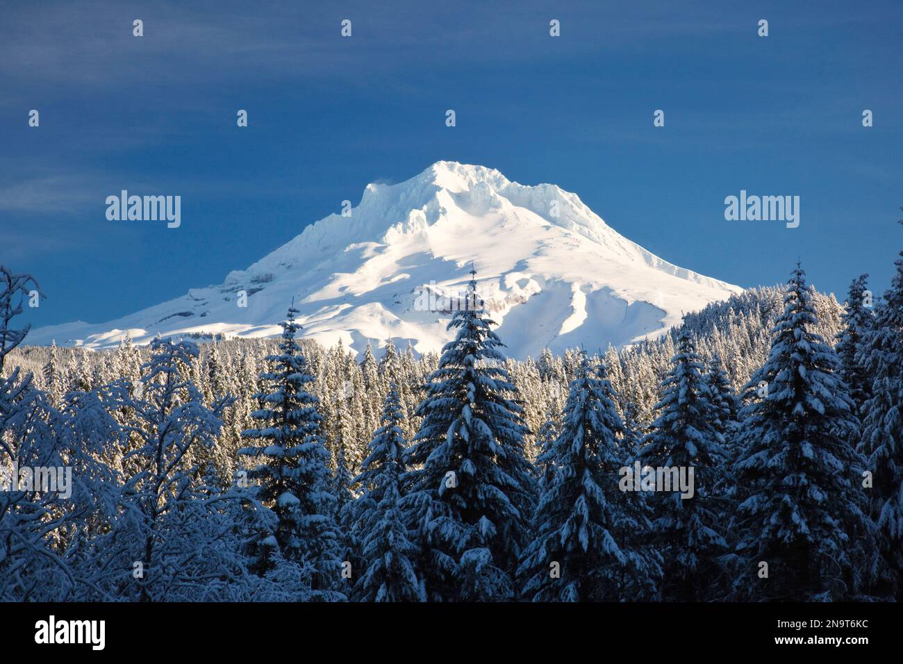 Snow-covered Mount Hood in winter, with sunlight illuminating the peak ...