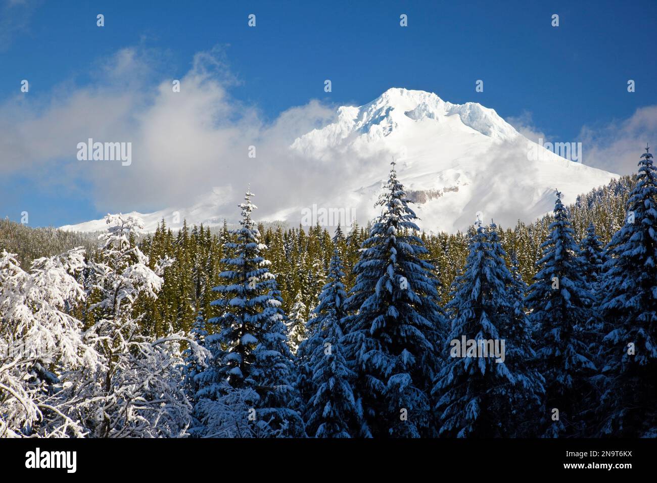 Snow-covered Mount Hood in winter, with sunlight illuminating the peak ...