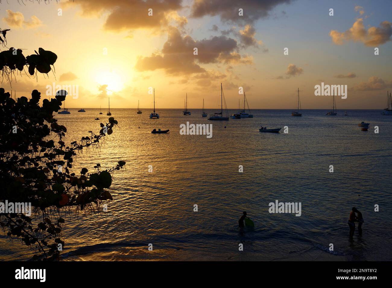 Colourful caribbean sunset with sailboats, Martinique island. French ...