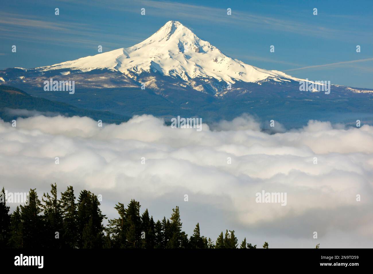 Blue sky highlights the snow-capped Mount Hood and morning fog covering ...