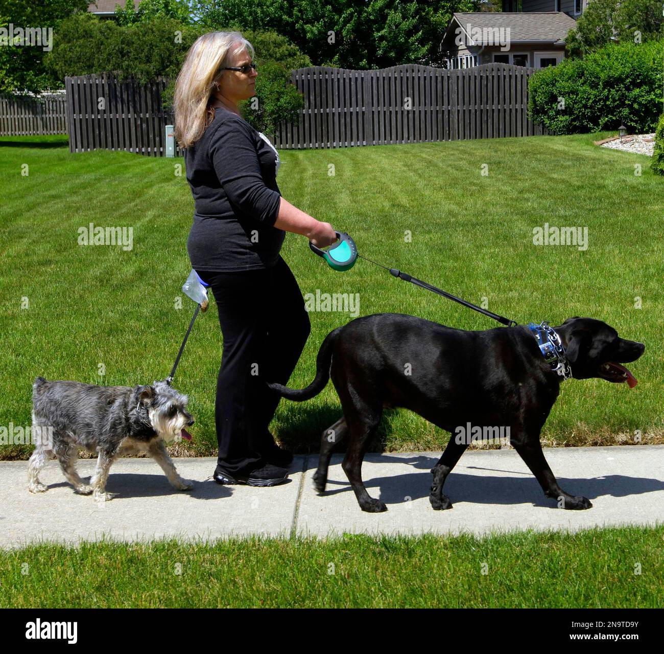 Harriet Buscombe is seen with her two dogs, Hazel the schnauzer and ...