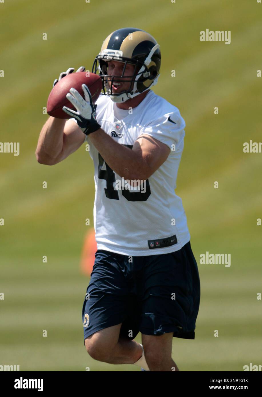 St. Louis Rams safety Craig Dahl catches a pass during NFL football ...