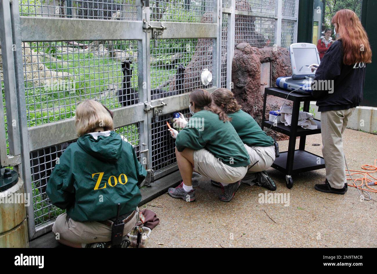 In this May 7, 2012 photo, primate caretakers, from left, Cindy Swisher ...