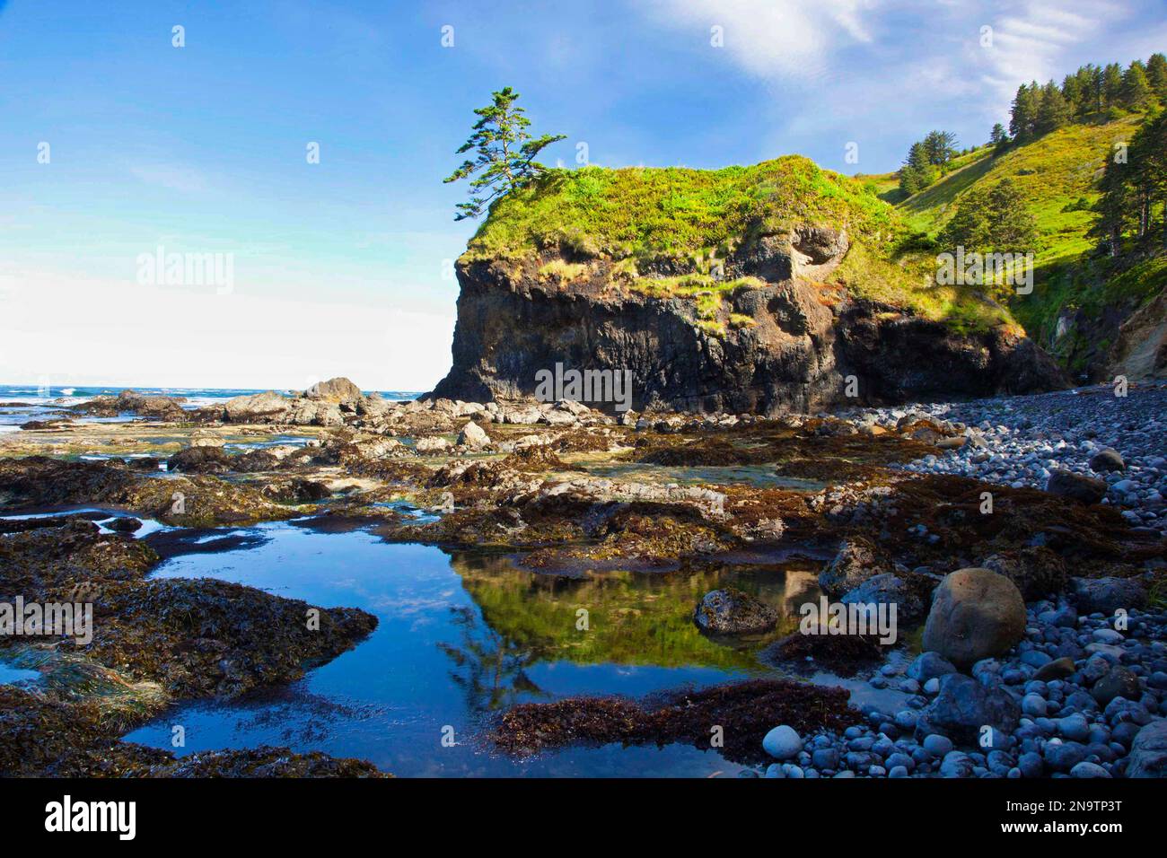 Low Tide And Rock Formations At Otter Rock Beach, looking North to Cape ...