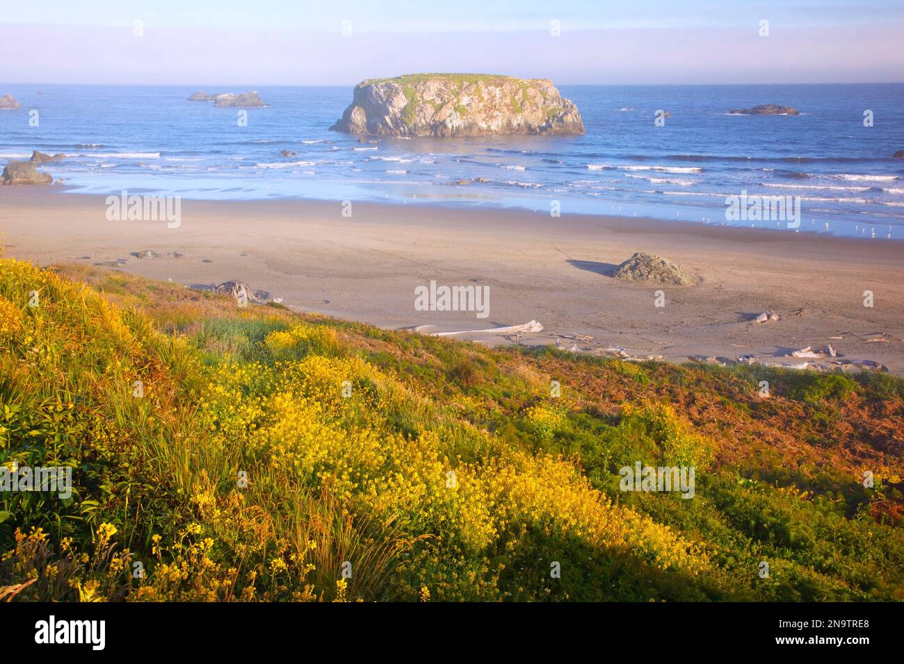 Morning Light Adds Beauty To Fog Covered Rock Formations At Bandon ...