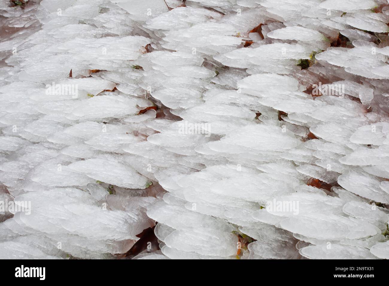 Storm detail hi-res stock photography and images - Alamy