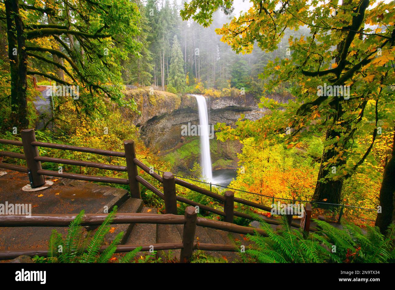 Autumn colours add beauty to the South Falls in Silver Falls State Park ...